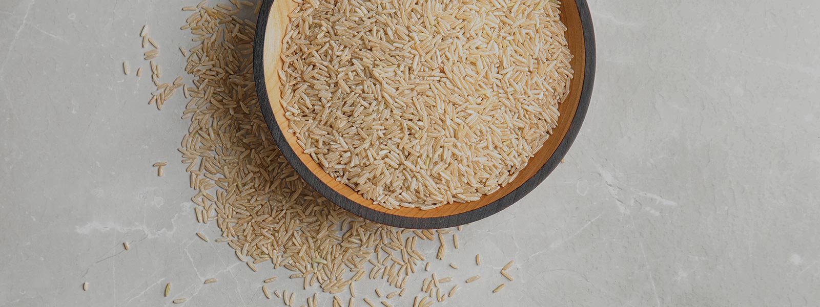 Organic Rice & Quinoa | Bulk Buy Wholesale Rice & Quinoa | Terra Madre